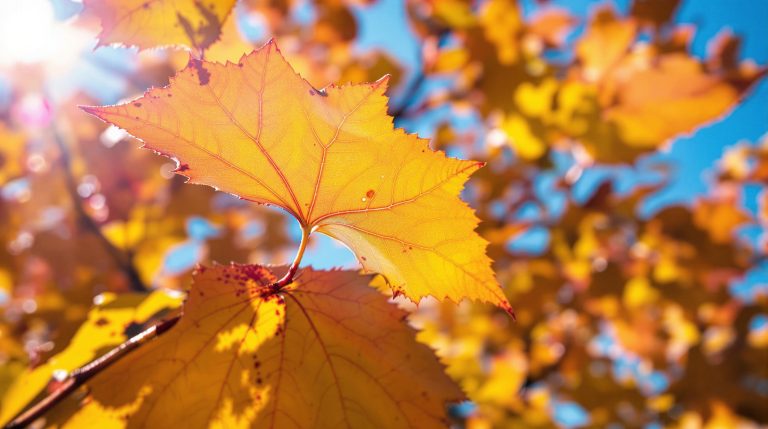 What Your Yellow Leaves Are Really Trying To Tell You